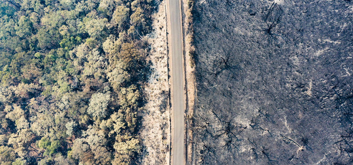 Australian Bushfires - What to Read and How to Help | Journal | Tala ...