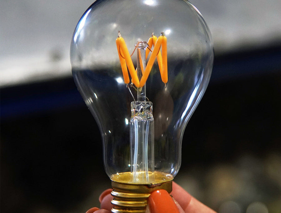 How to recycle LED bulbs with Recolight | Journal | Tala – Tala US