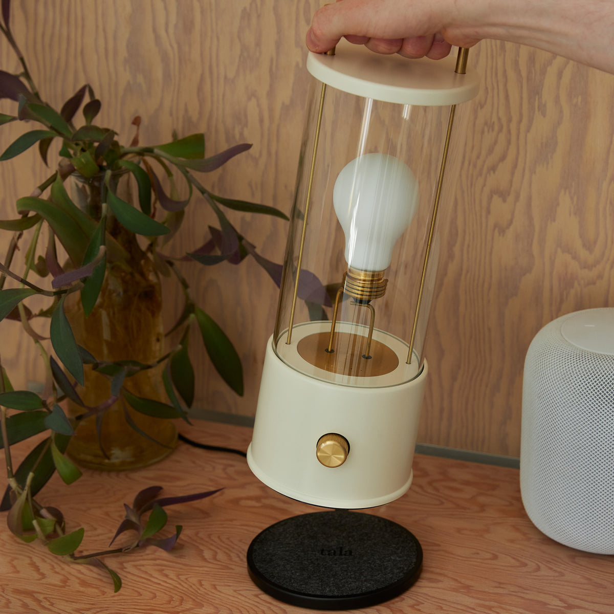 The Muse Portable Lamp in Candlenut White Bundle | Portable Lamp ...